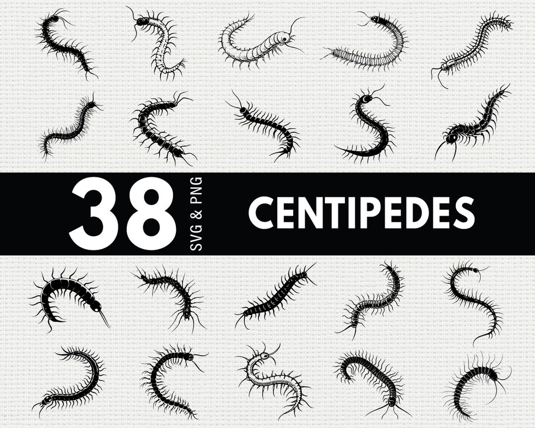 Centipedes SVG PNG Bundle, Insect Silhouette Clipart, Creepy Crawlies ...
