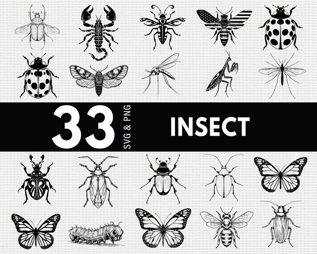 Insect SVG PNG Bundle, Bug Silhouette Clipart, Butterfly Beetle Cricut ...