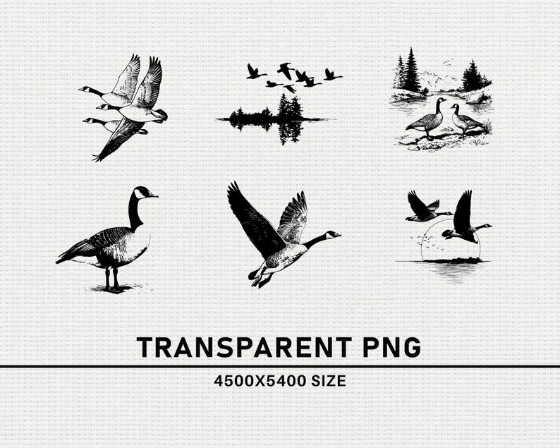 Canadian Geese SVG PNG Bundle, Wildlife Silhouette Clipart, Flying ...
