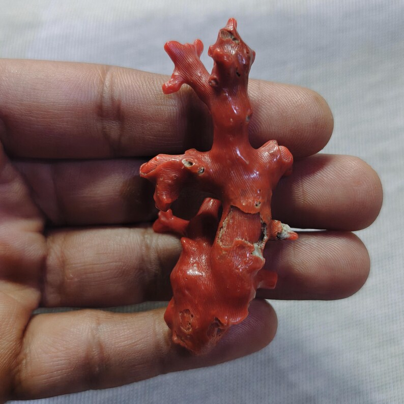 Vintage Italian Coral Branch, Polished Rough Specimen, Jewelry Supply ...