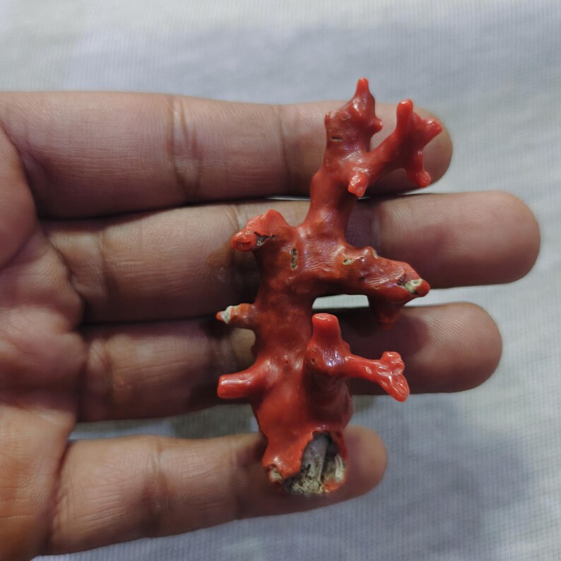 Vintage Italian Coral Branch, Polished Rough Specimen, Jewelry Supply ...