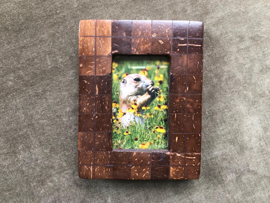 Small Chunky Coconut Shell Tile Mosaic Retro Natural Wood Picture Photo ...