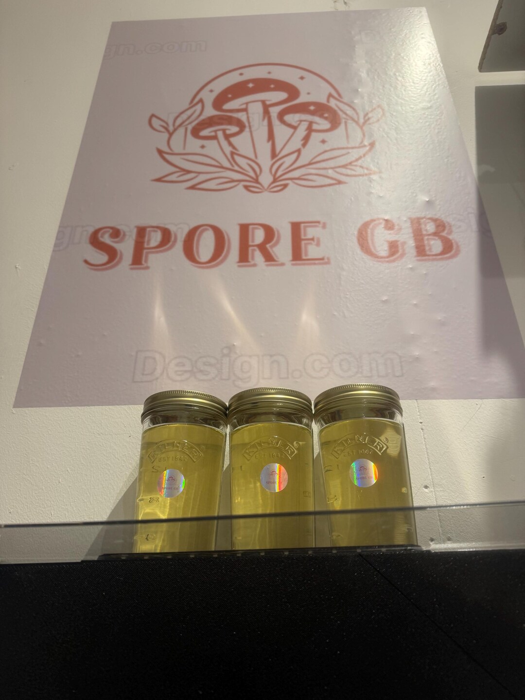 3x500ml Liquid Culture Jars - Etsy