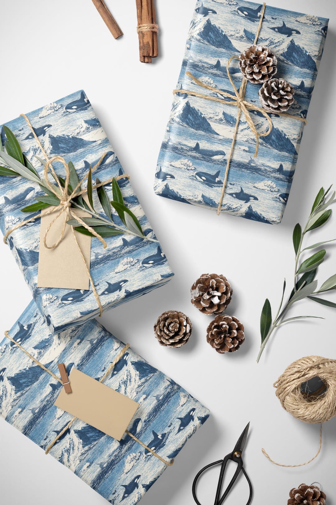 Marine Wrapping Paper Ocean Themed Gift Wrap for Biologists Teachers ...