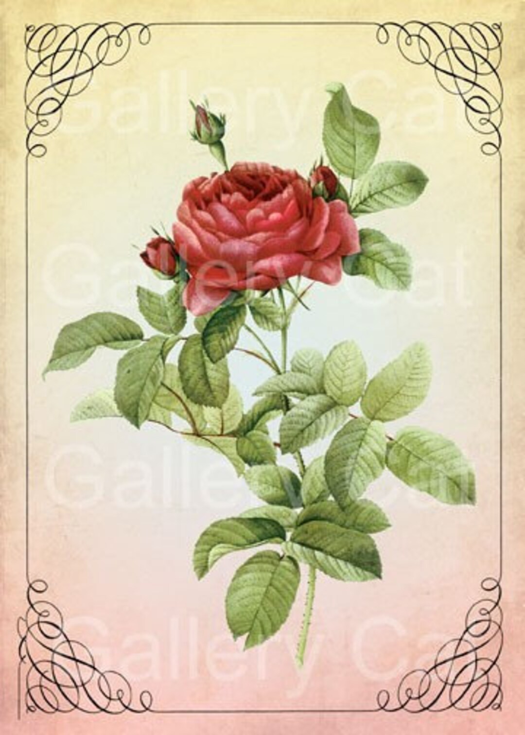 Antique Red Rose Digital Collage Sheet Instant Download Greeting Card ...
