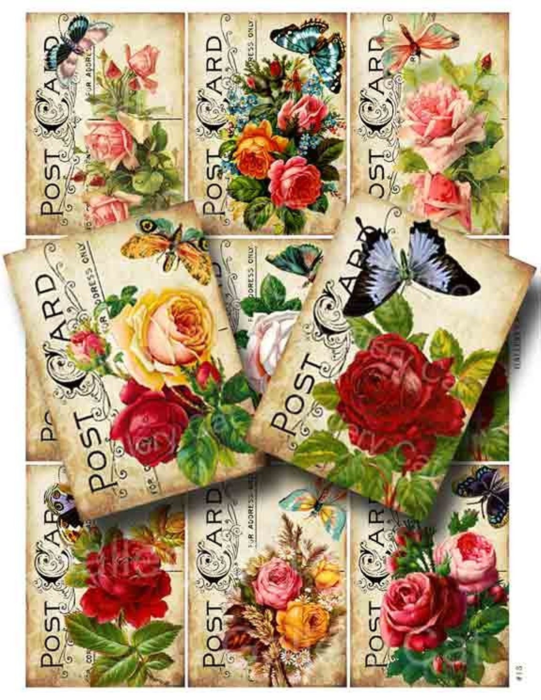 Rosas victorianas con mariposa en la vieja postal digital - Etsy España