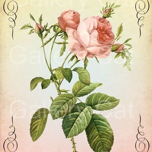 Antique Red Rose Digital Collage Sheet Instant Download Greeting Card ...