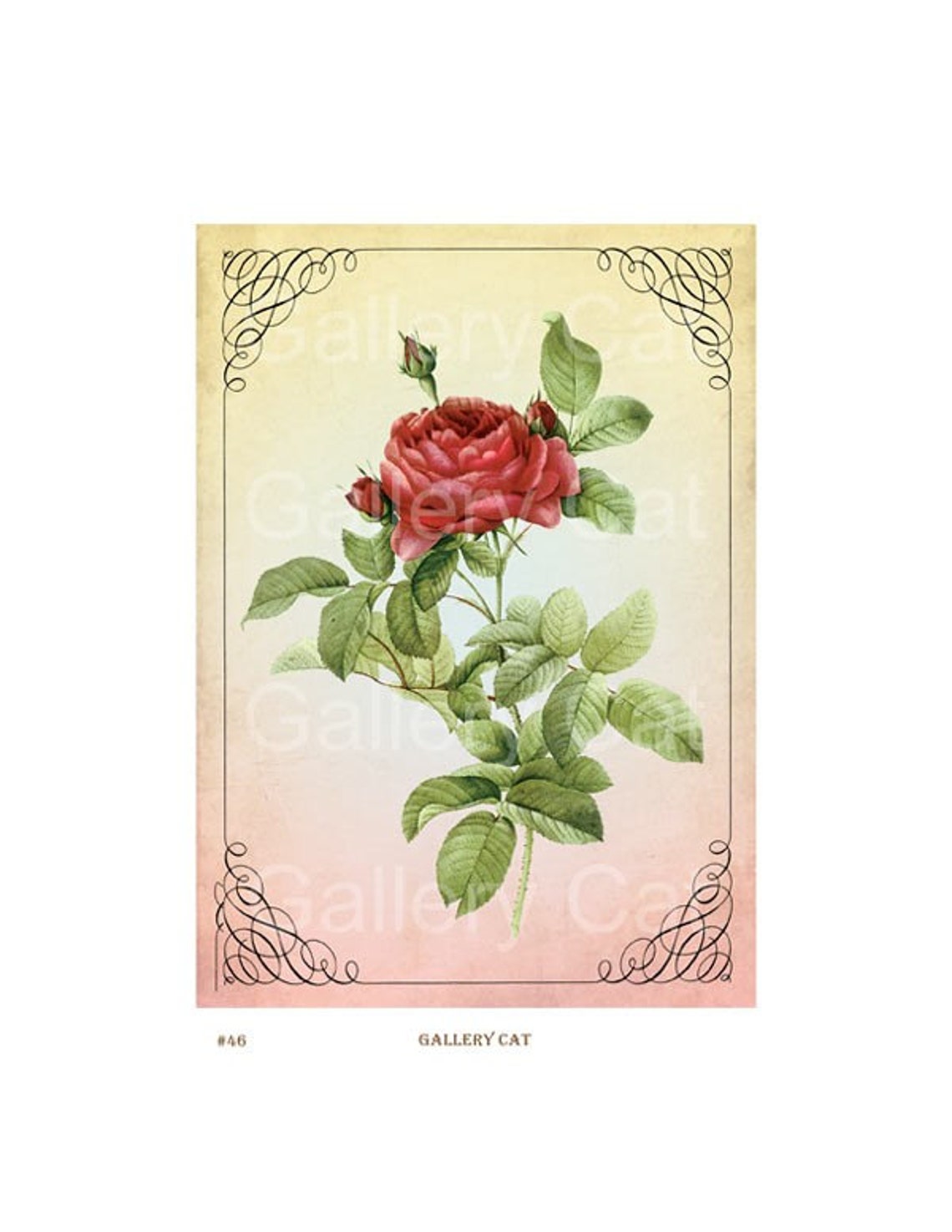 Antique Red Rose Digital Collage Sheet Instant Download - Etsy