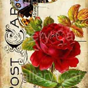 Rosas victorianas con mariposa en la vieja postal digital - Etsy España