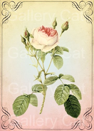 Antique Red Rose Digital Collage Sheet Instant Download | Etsy