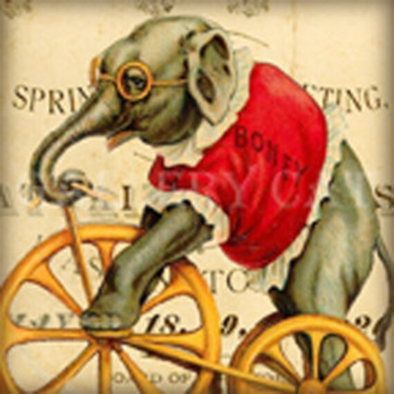 Dd2527 Printable Form - Printable Forms Free Online