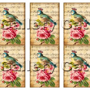 CROWNED BIRD Digital Collage Sheet Instant Download for Gift Tags ...