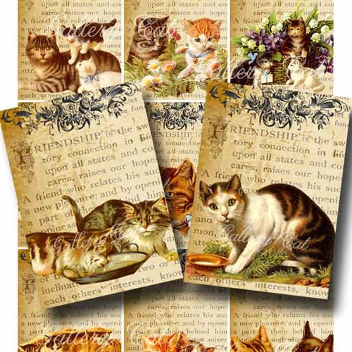 Set of 9 Gorgeous Music & Floral Butterfly Shapes instant | Etsy