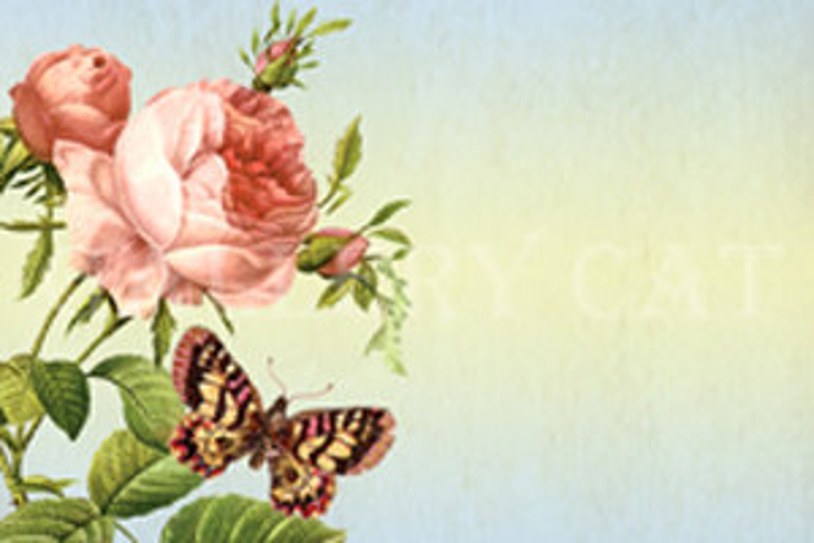 Blank Rose Labels Digital Collage Sheet Instant Download Paper - Etsy