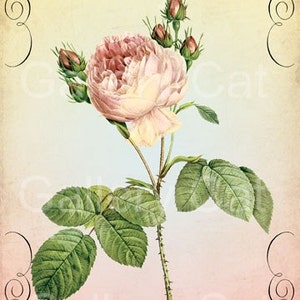 Antique Red Rose Digital Collage Sheet Instant Download Greeting Card ...