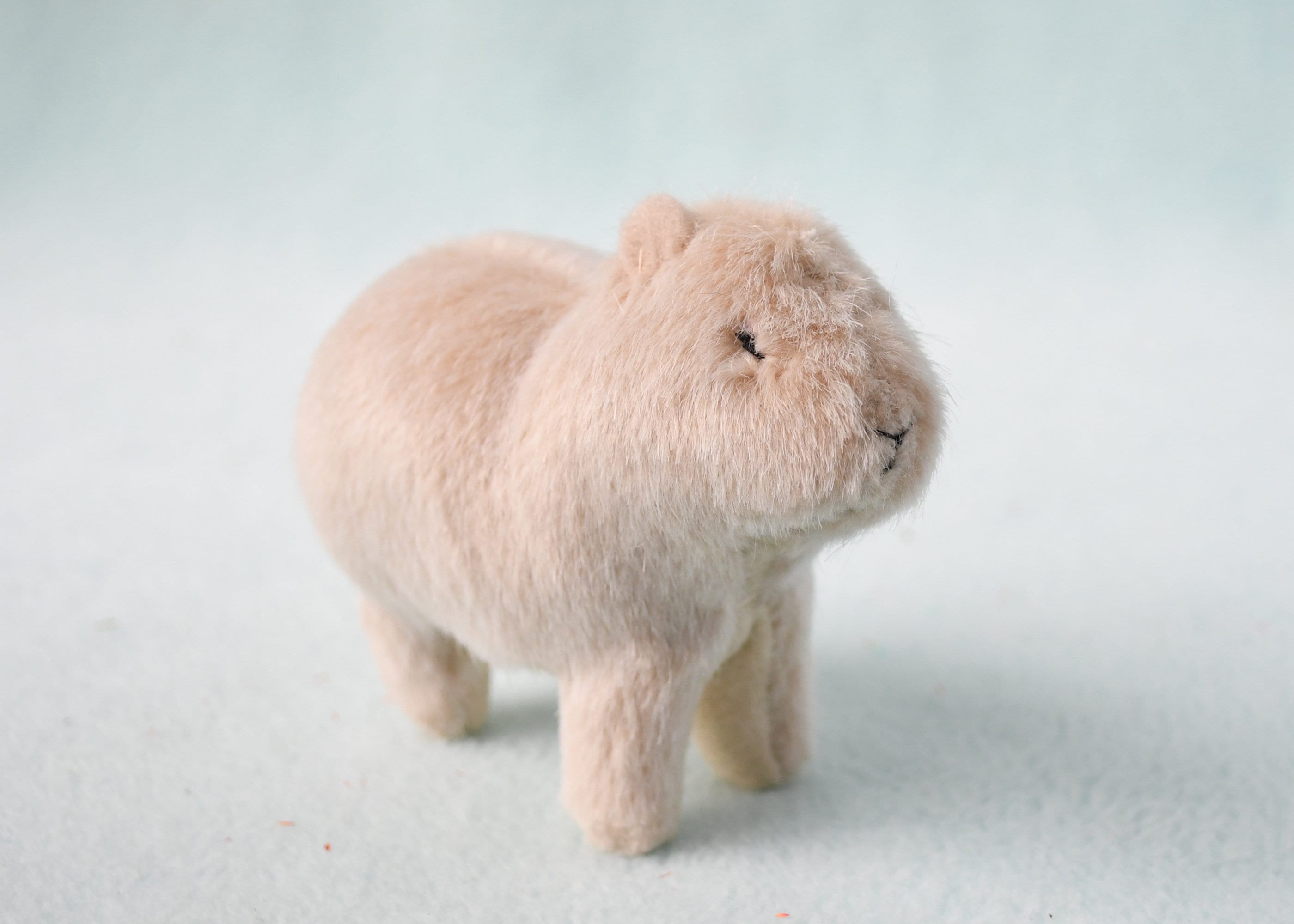 Capybara Baby Plush Light - Etsy UK