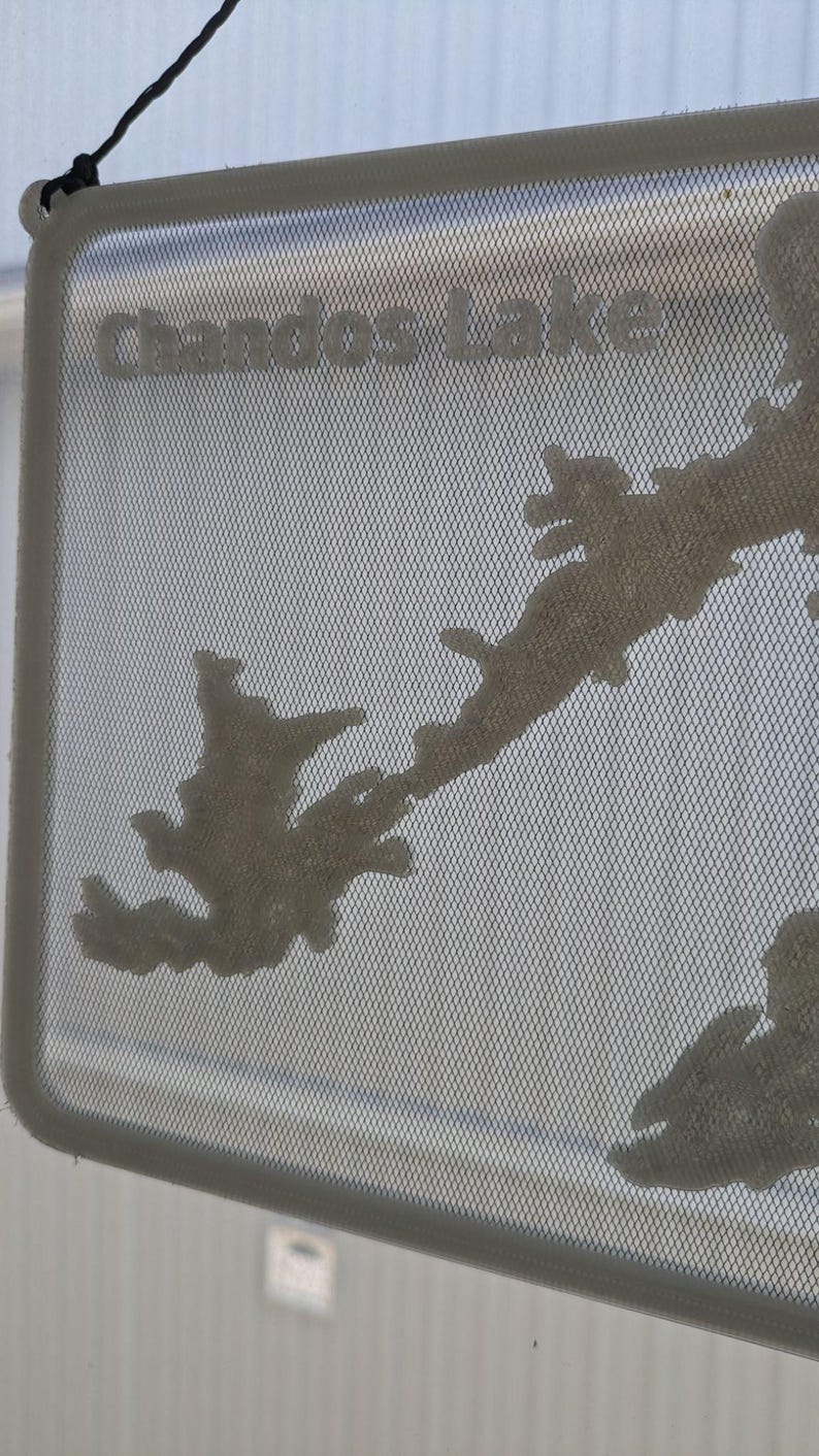 Custom 3d-printed Chandos Lake Map - Etsy Canada