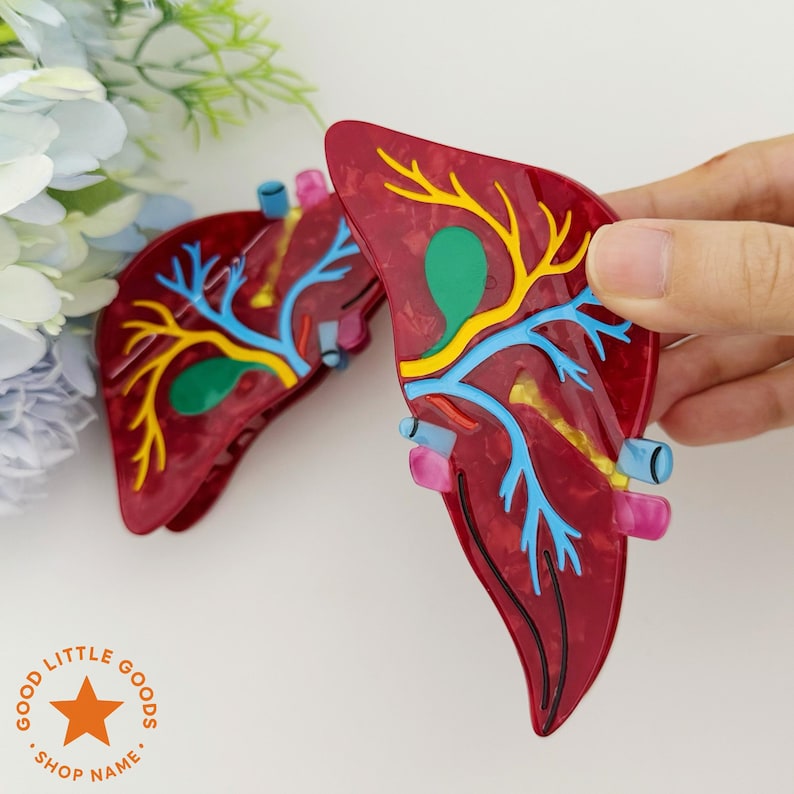 Anatomical Vein Liver Hair Claw- Healthcare Clip for Women & Girls ...