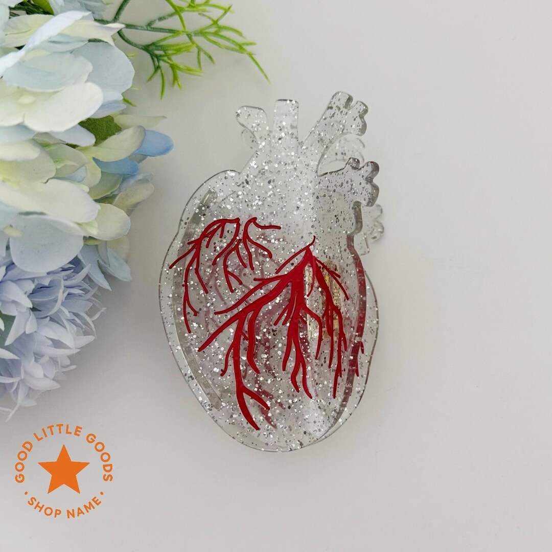 Anatomical Ice Heart Hair Claw- Healthcare Clip for Women & Girls ...