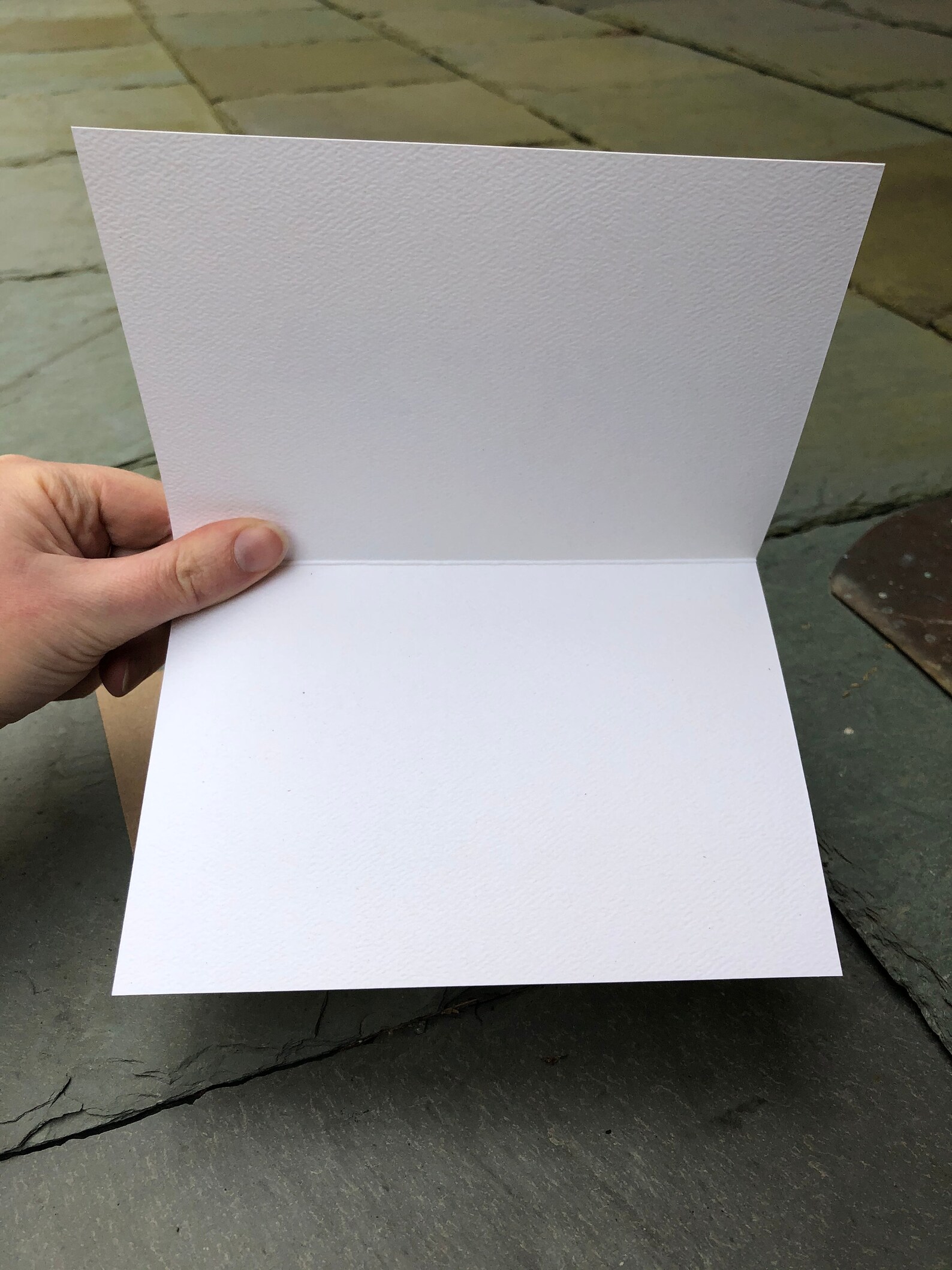 Box Set of 50 Cards Dog Thank You Card. Dog Lover Card. Dog - Etsy