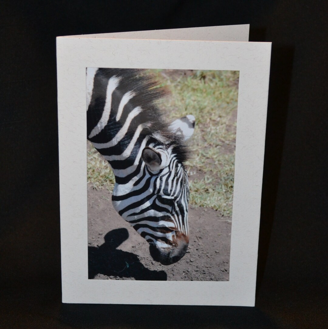Original Photography Note Card - Zebra 1 - Etsy