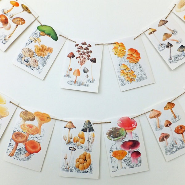 Toadstool Decoration - Etsy