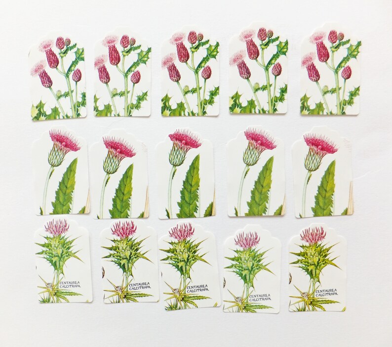 Thistle Gift Tags Scottish Thistle Hang Tags Scotland - Etsy UK