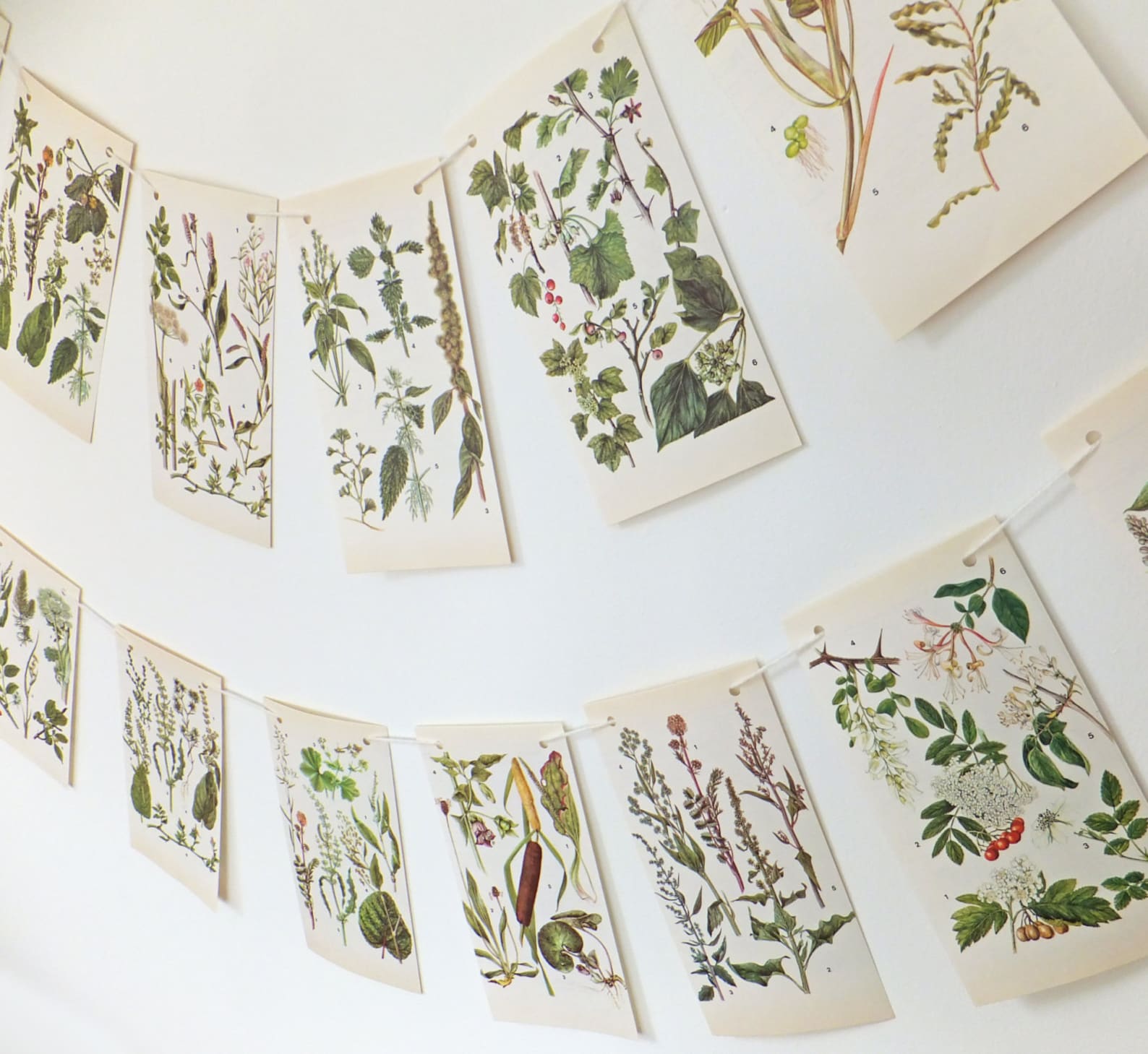 Botanical Bunting Green Bunting. Spring Bunting Nature - Etsy