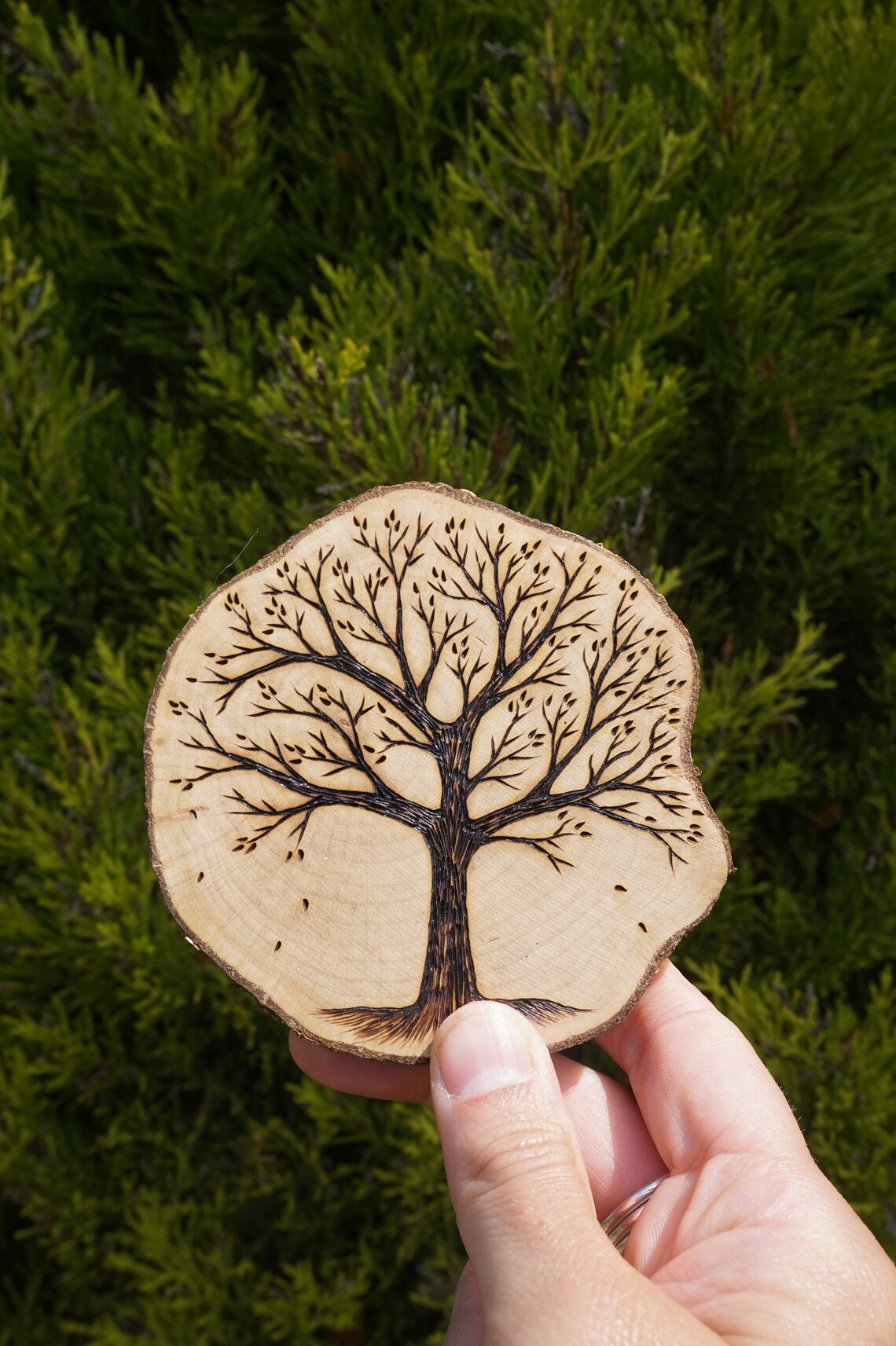 Pyrography Tree Wall Hanging, Made to Order Making Each One Unique - Etsy