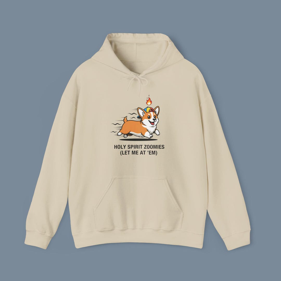 Holy Spirit Zoomies Hoodie, Funny Christian Sweatshirt, Faith Humor ...