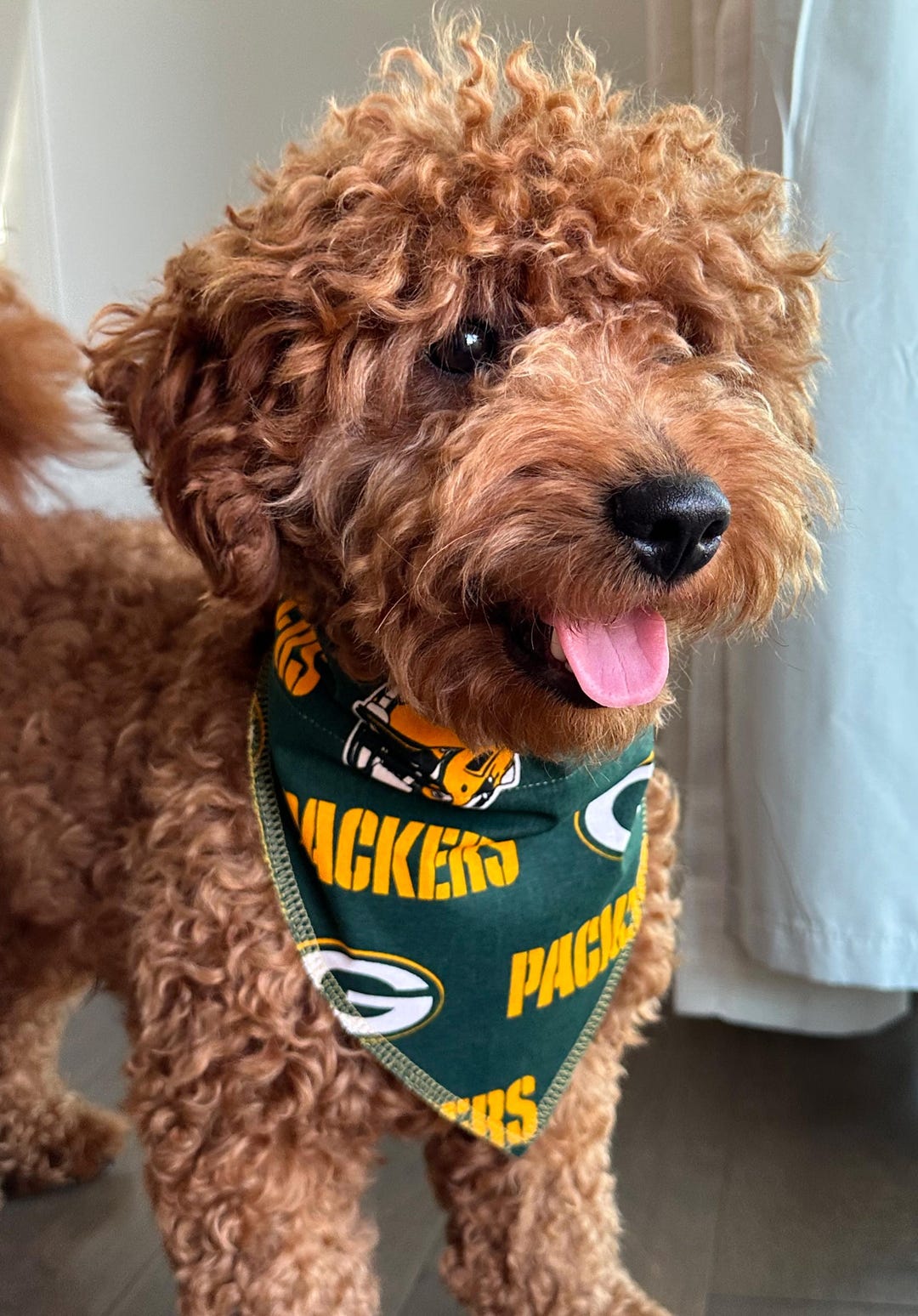Green Bay Packers Pet Bandana - Etsy