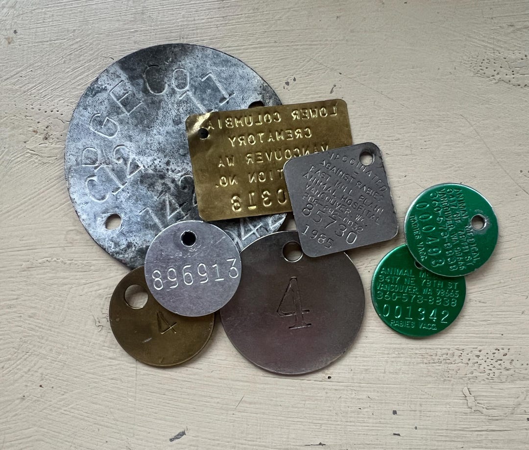Vintage Metal Tags - PG&E -rabies Creamation Tags - Cat Tag Findings - Etsy