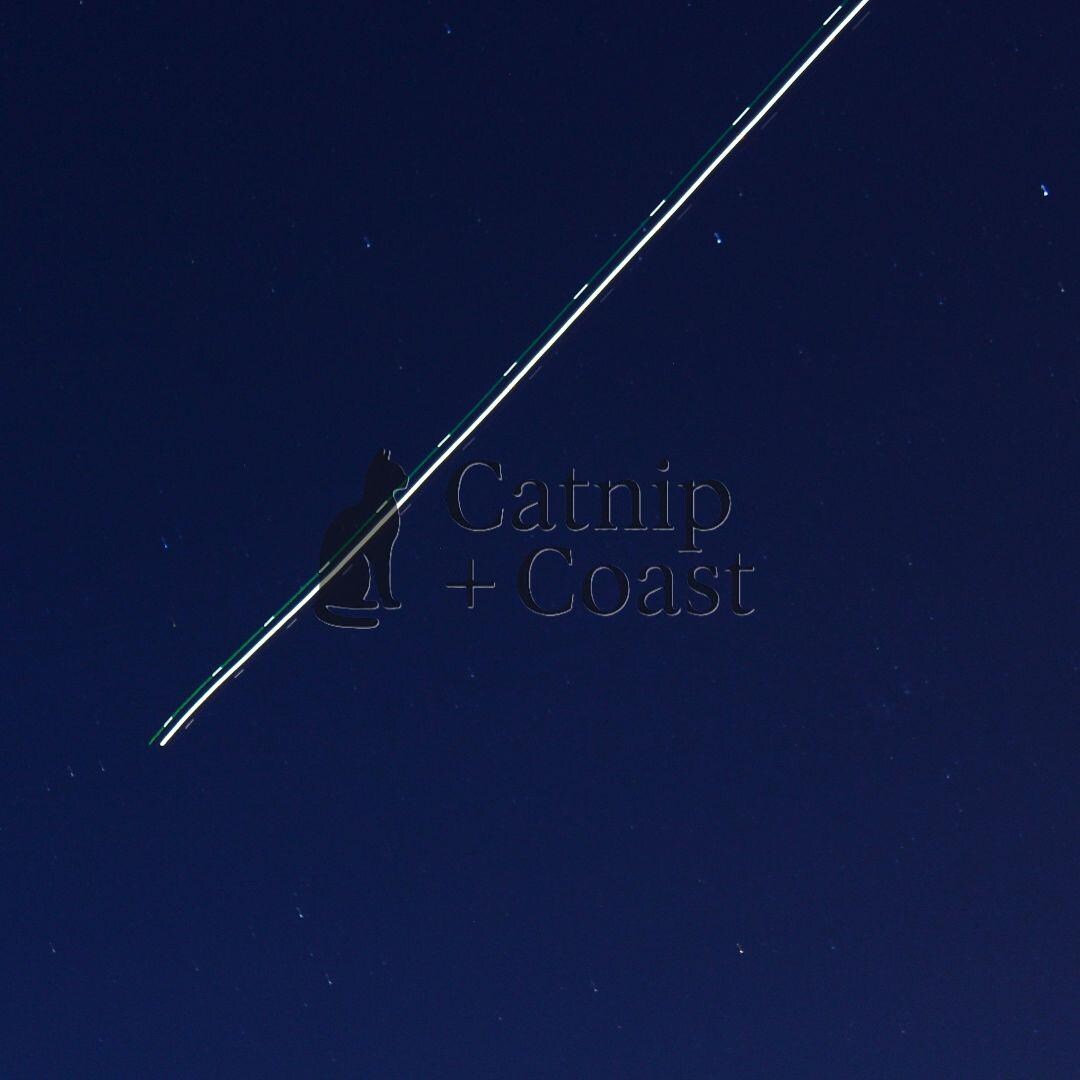 Starlink, Night Sky, Stars, Space, Spacex Designs, Home Decor, Wall Art ...