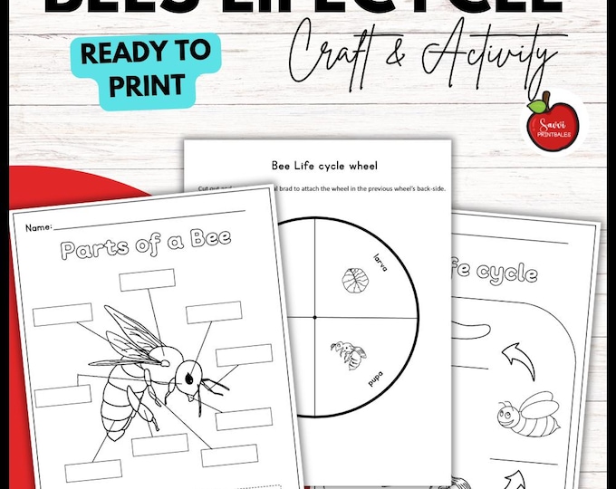 Life Cycle of a Honey Bee Printable, Bee Science Unit Study, Honey Bee ...
