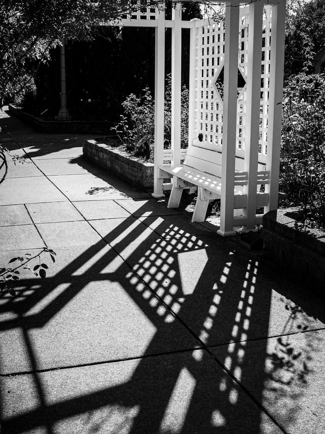 Lattice Bench - Original Photograph: Customizable Fine Art Print, Ready ...