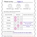 Daily Behavior Report for Kids: Classroom Tracker, Parent-teacher ...