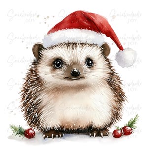13 Christmas Hedgehogs Clipart Watercolor Christmas Clip Art Holiday ...