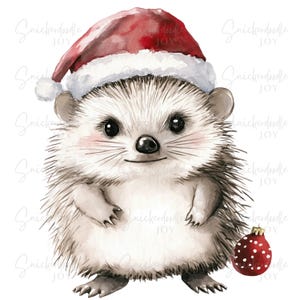 13 Christmas Hedgehogs Clipart Watercolor Christmas Clip Art Holiday ...
