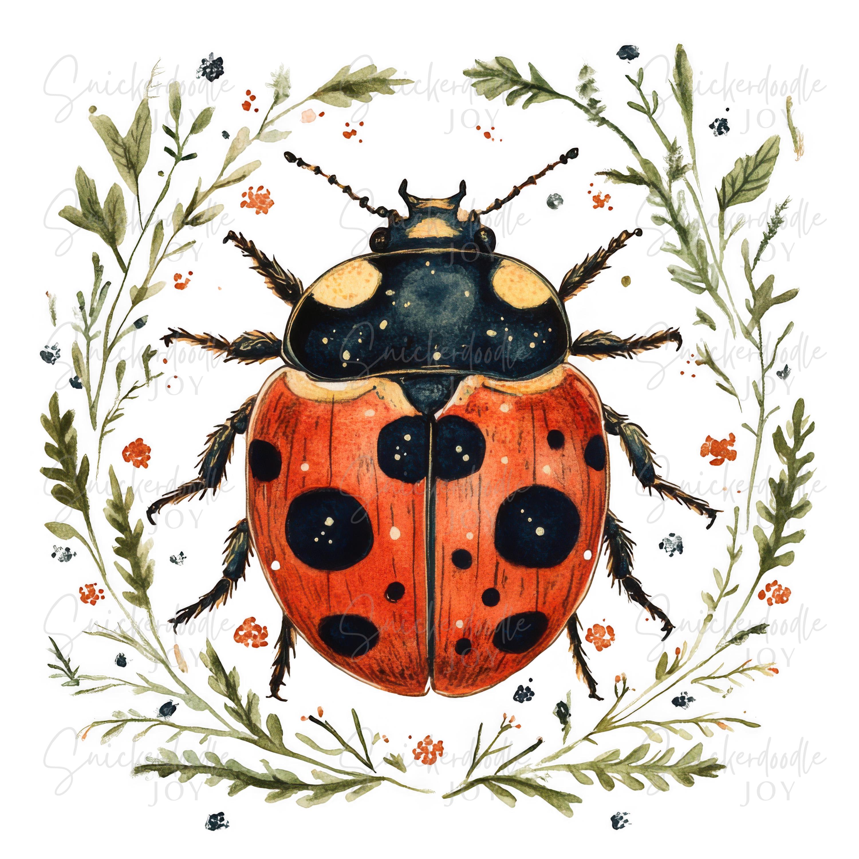 10 Ladybug Clipart Folk Art Ladybugs Clip Art Insect High Quality Pngs ...