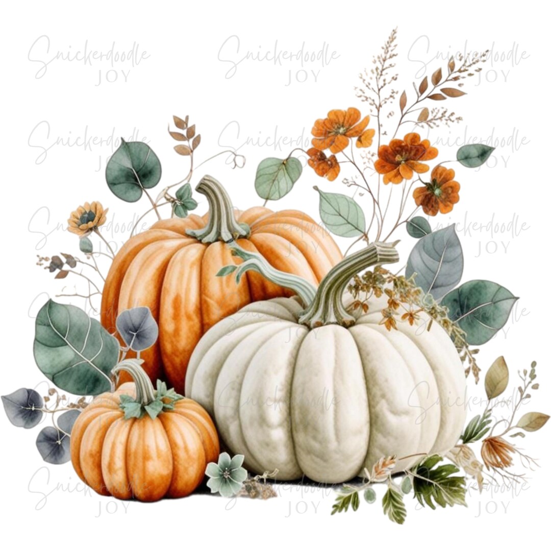 12 Fall Pumpkins Clipart Autumn Pumpkins Clip Art Floral Pumpkin High ...