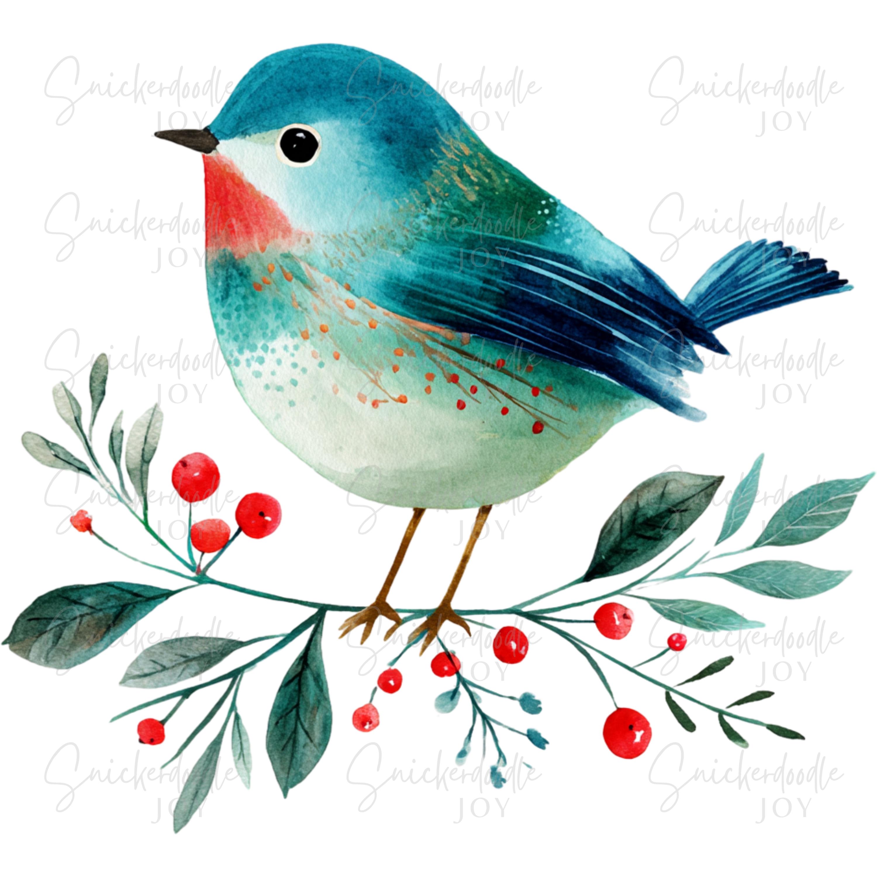 14 Christmas Blue Birds Clipart Cute Bird Clip Art Holiday High Quality ...