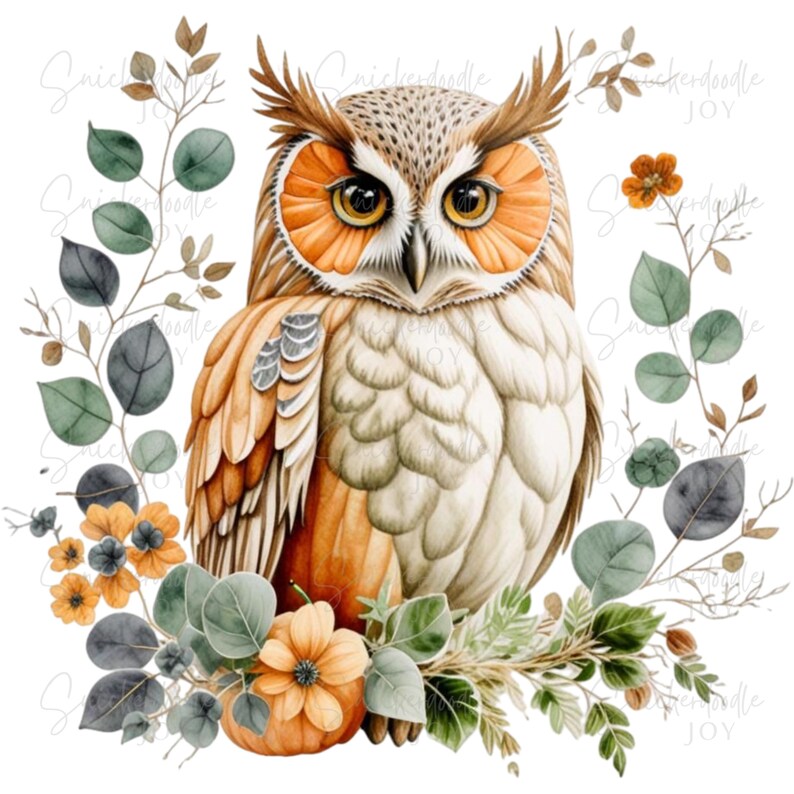 12 Fall Owl Clipart Autumn Owls Clip Art Fall Owl High Quality Pngs ...