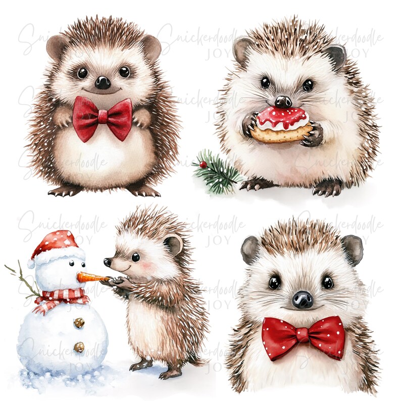 13 Christmas Hedgehogs Clipart Watercolor Christmas Clip Art Holiday ...