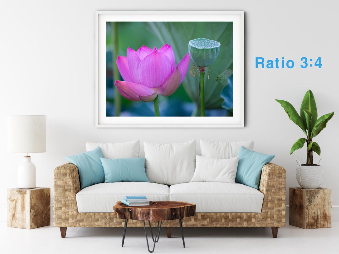 Lotus Receptacle Macro Printable Wall Art – Botanical Digital Download ...