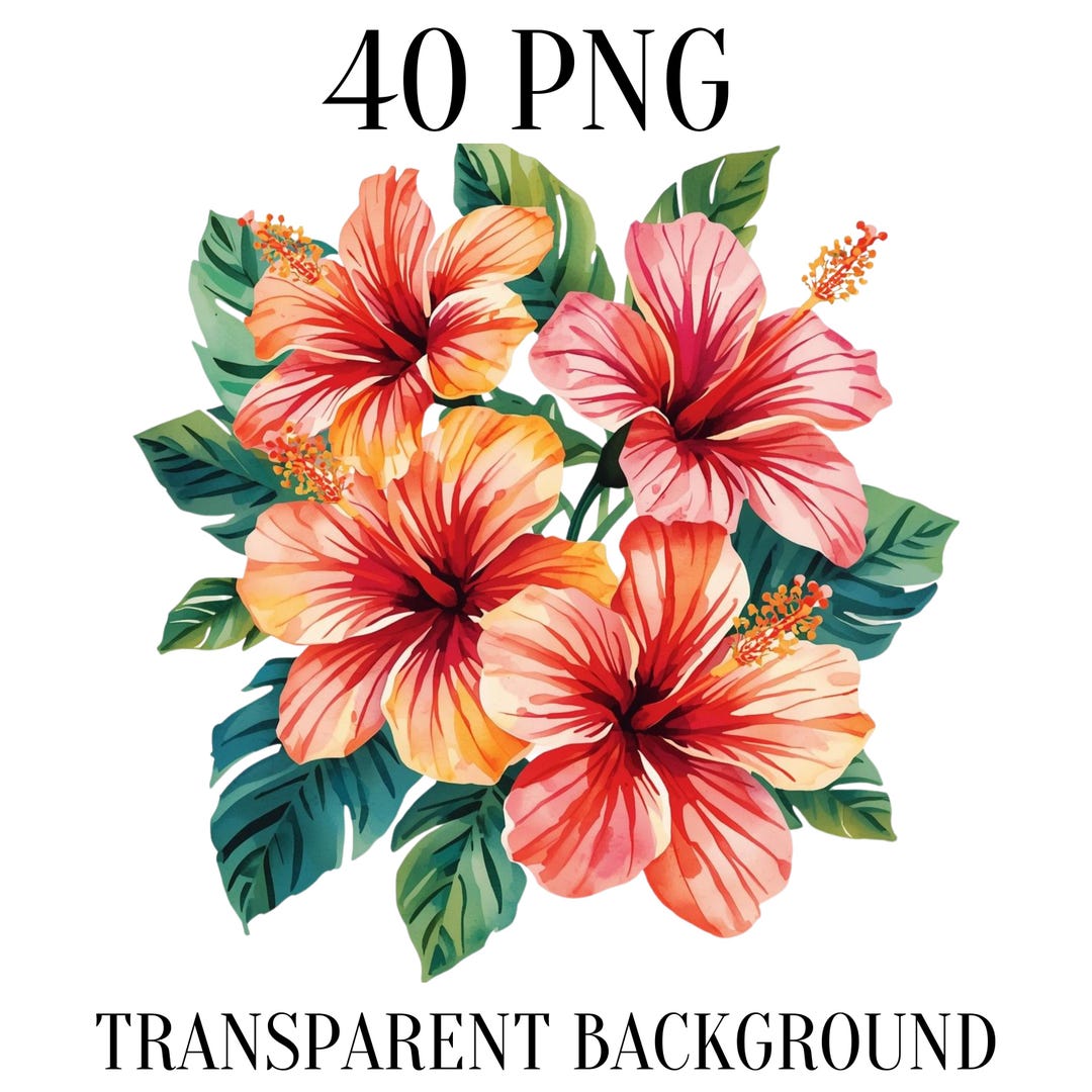 Hibiscus Flower Clipart, Tropical PNG Bundle (40 Designs) - Etsy