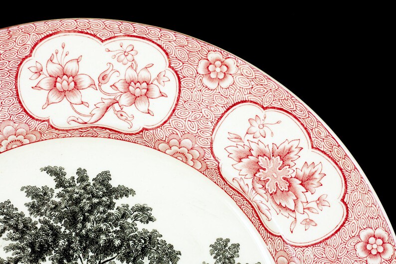 Vintage Adams Ware England Rose Terrace Pattern Bone China - Etsy