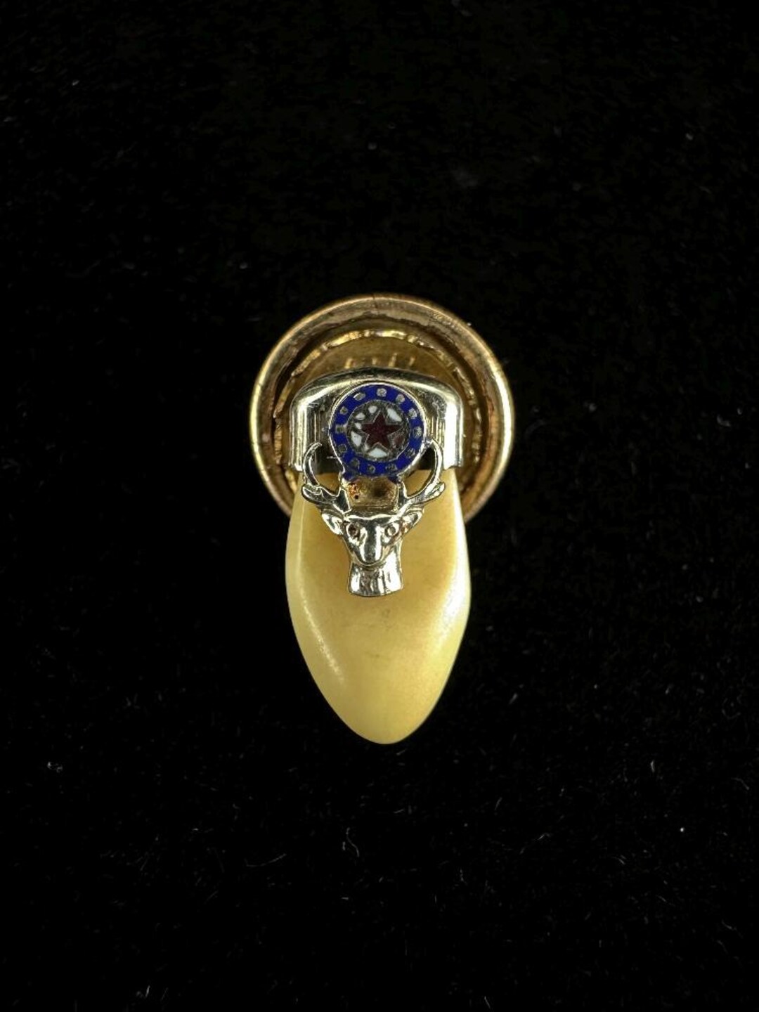 Antique 1911 BPOE 14/18k White Gold Enamel Elk Tooth Lapel Pin .5” - Etsy