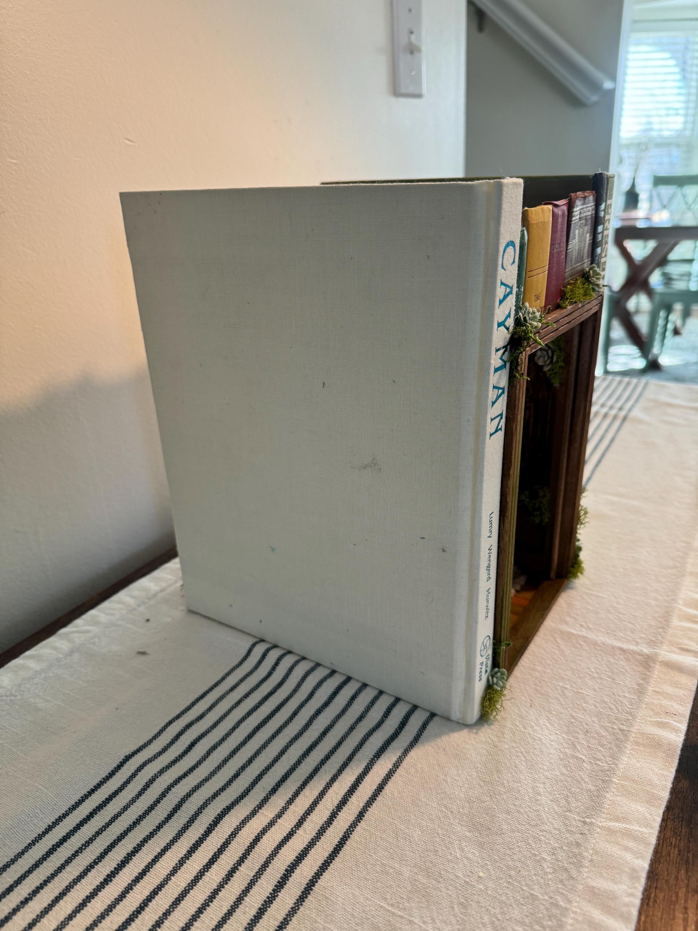 Book Nook - Mossy Library - Etsy