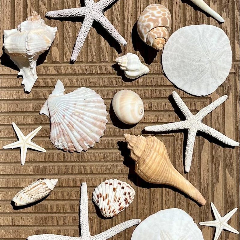 Beach Magnets - Etsy