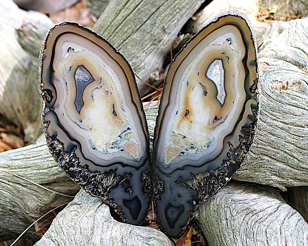 Elegant Pair of Banded Agate Slabs Slices, Polished and Matched From ...